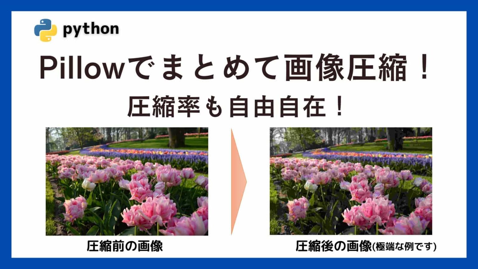 【Python】Pillowでまとめて画像圧縮！圧縮率も自由自在！